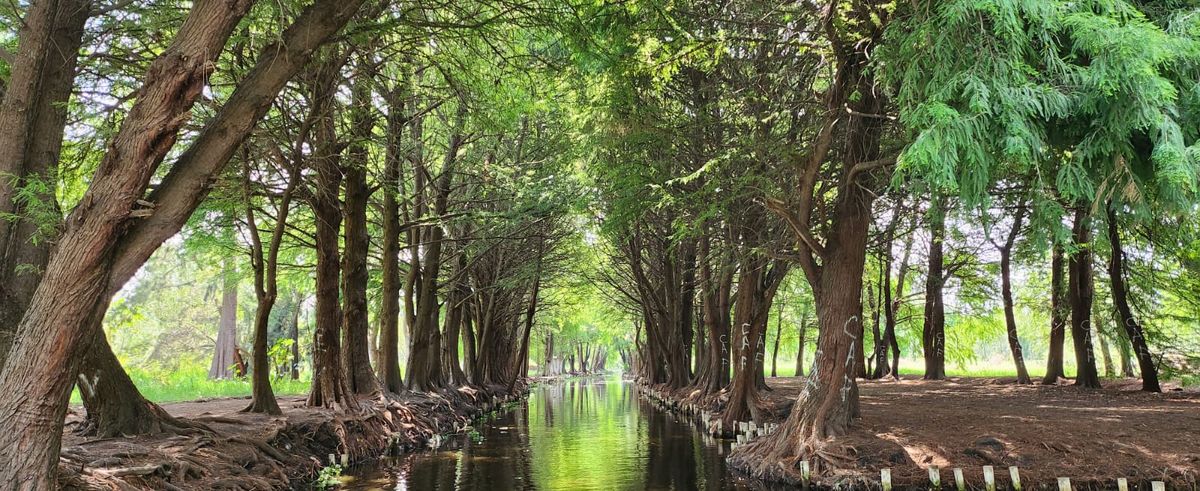Coparmex y Mex-Inca promueven atracciones en Xochimilco