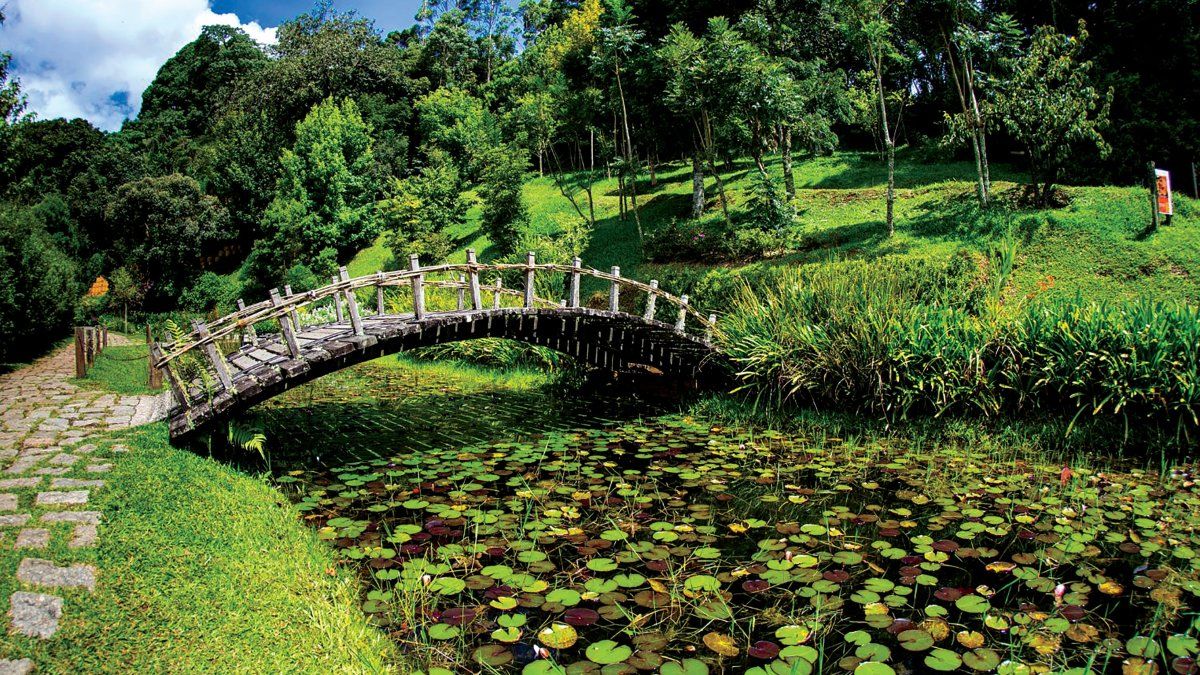 Brasil: qué hacer y qué visitar en el estado de San Pablo