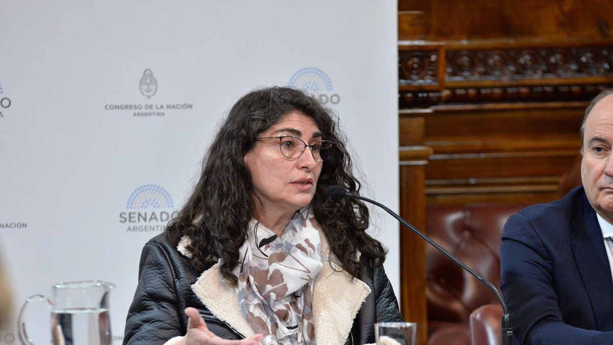 Ana María Ianni: El odio hacia todo lo que es argentino
