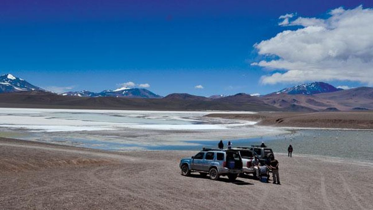 Laguna Brava: un camino posible hacia la solemnidad