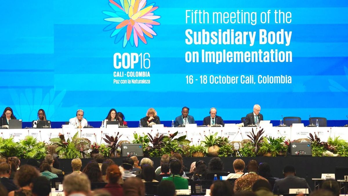 ABC: todo lo que debe saber sobre la COP16