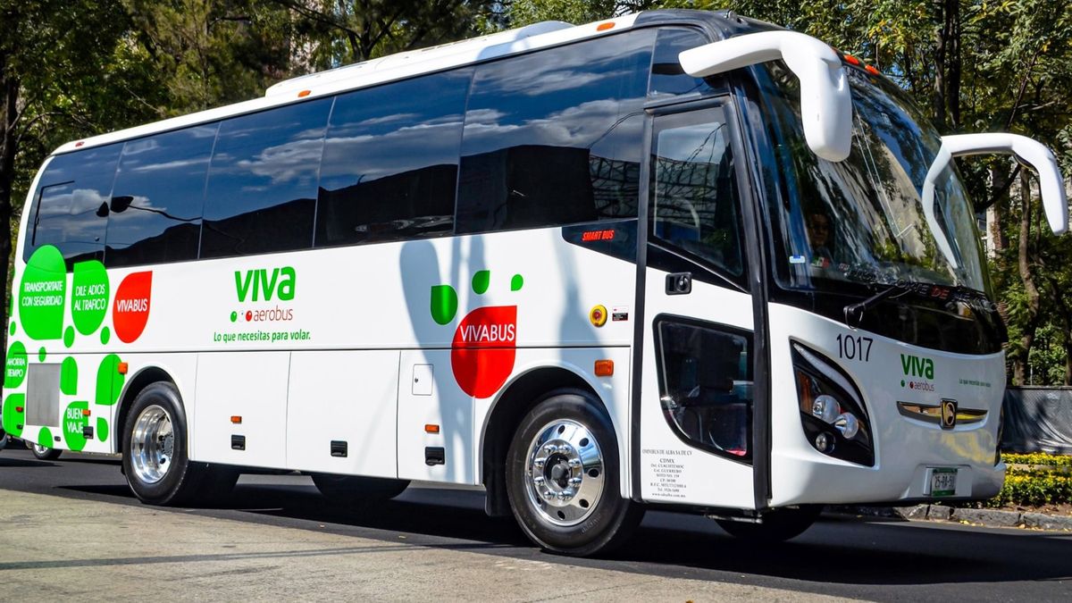 Conectan vía terrestre el AIFA con el Ángel de la Independencia: frecuencias y horarios