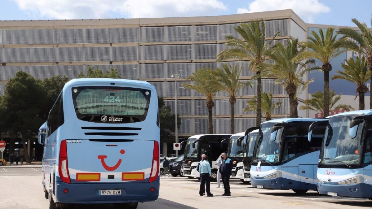 TUI Group: actividades y experiencias más valoradas por el cliente