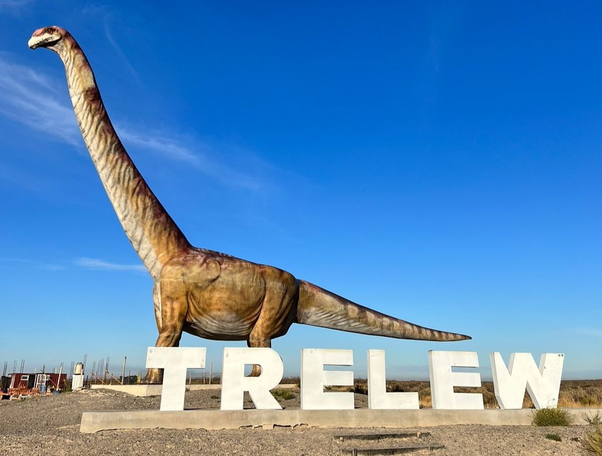 Trelew: promoción de temporada de pingüinos y paleonturismo