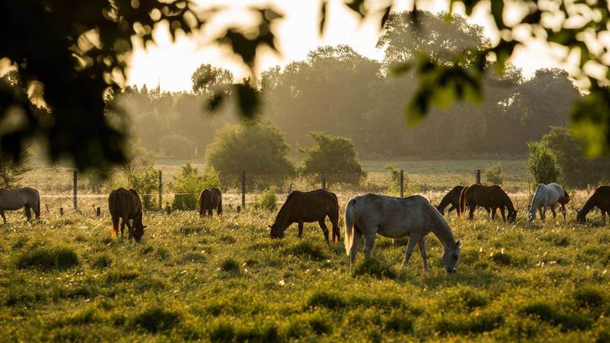Turismo Rural de Argentina en Festuris Connection Experience