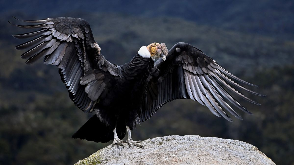 Pinay raped the sole concern is I want to spend time with