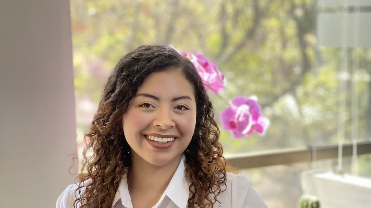 Octopus Travel: Nos hemos convertido en la opción ideal para una nueva ...