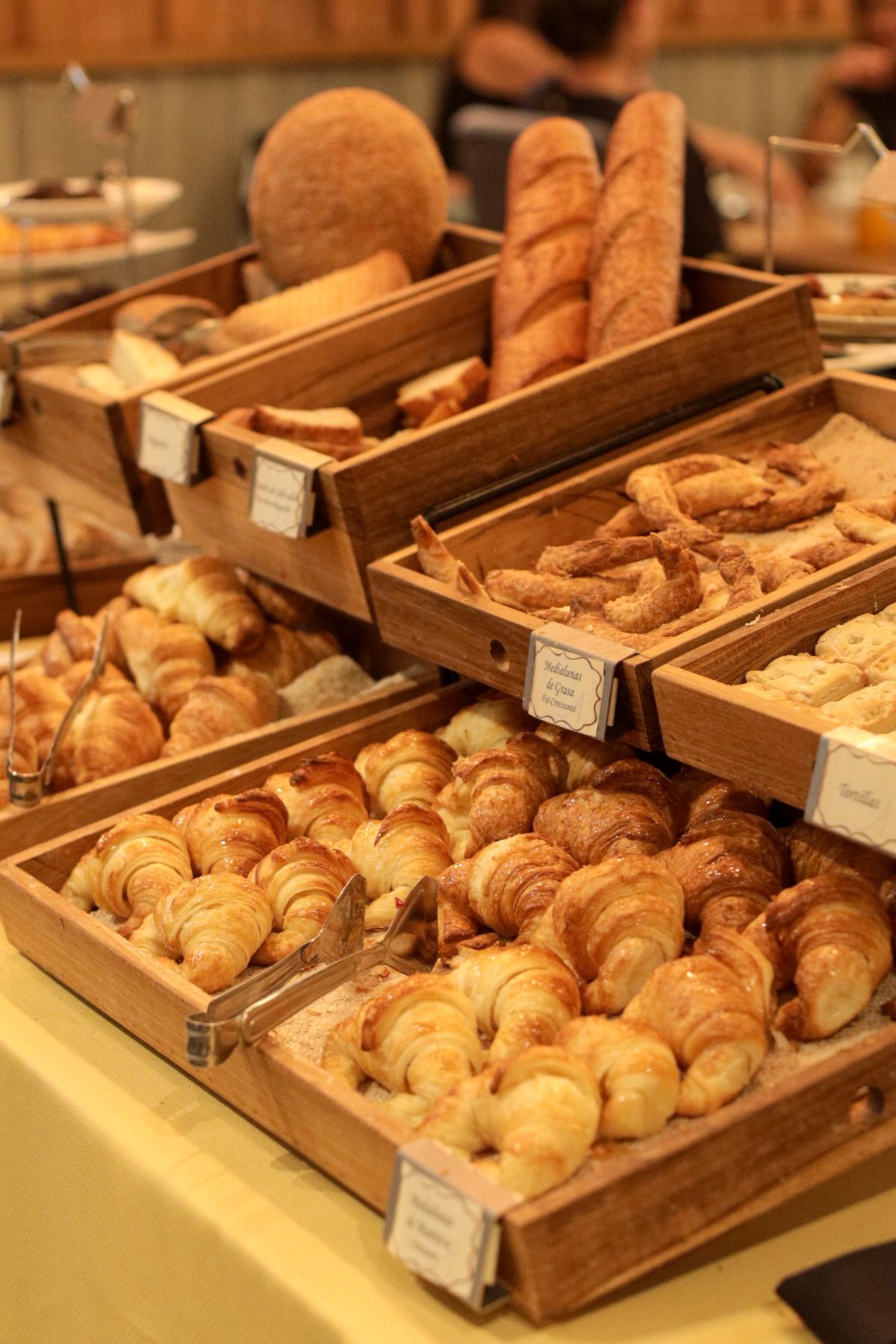 Hotel Alejandro I: una propuesta de lujo y sustentable en Salta