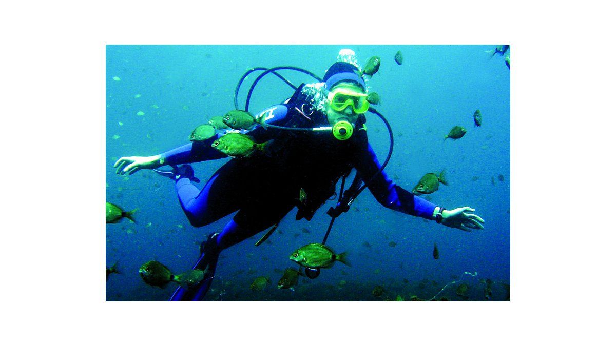 Últimas Noticias Turísticas sobre buceo en Ladevi Medios y Soluciones ...