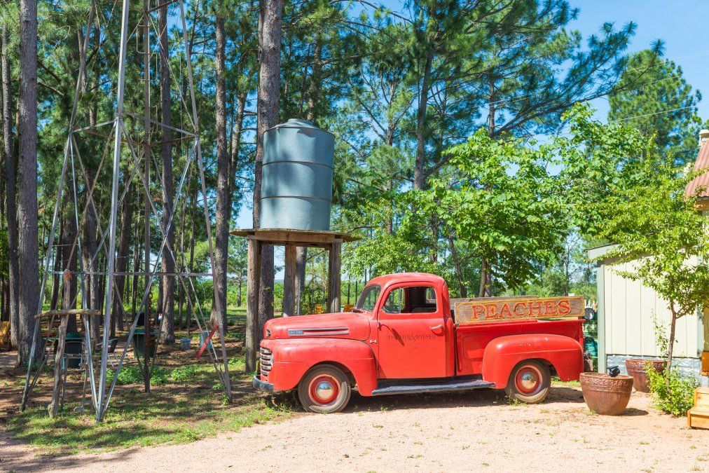 Ad Nova: un viaje musical y gastronómico por el este de Texas