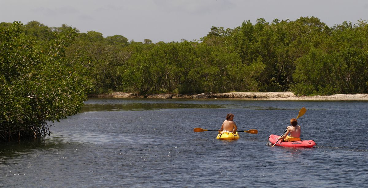 The Florida Keys and Key West: el paraíso subtropical que redefine el ...